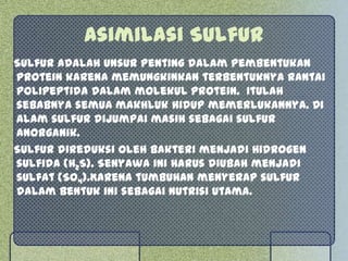 Presentation7 2 | PPTX