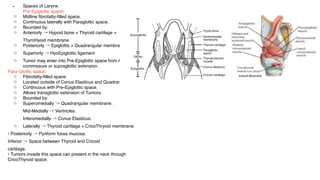 Comprehensive Anatomy and Physiology of the Larynx by Dr. Durar Ali | PDF