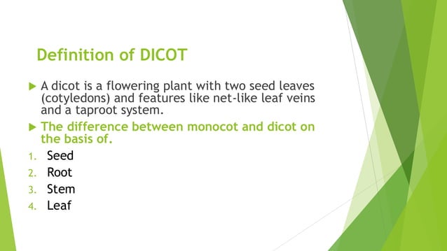 Presentation on The Monocote and Dicote | PDF | Gardening | Home & Garden