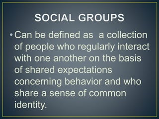 PRESENTATION 7 HOW SOCIETY IS ORGANIZED.pptx