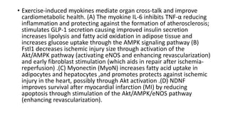 Mechanism by which exercise training improves clinical status of ...