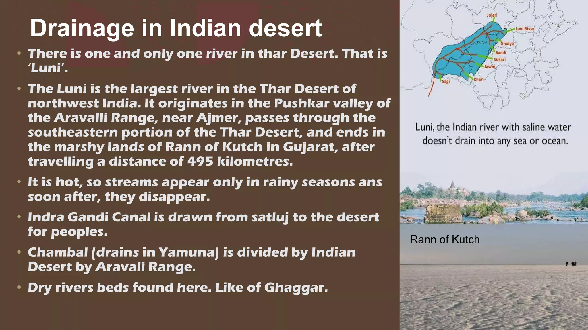 The Great Indian Desert | PDF
