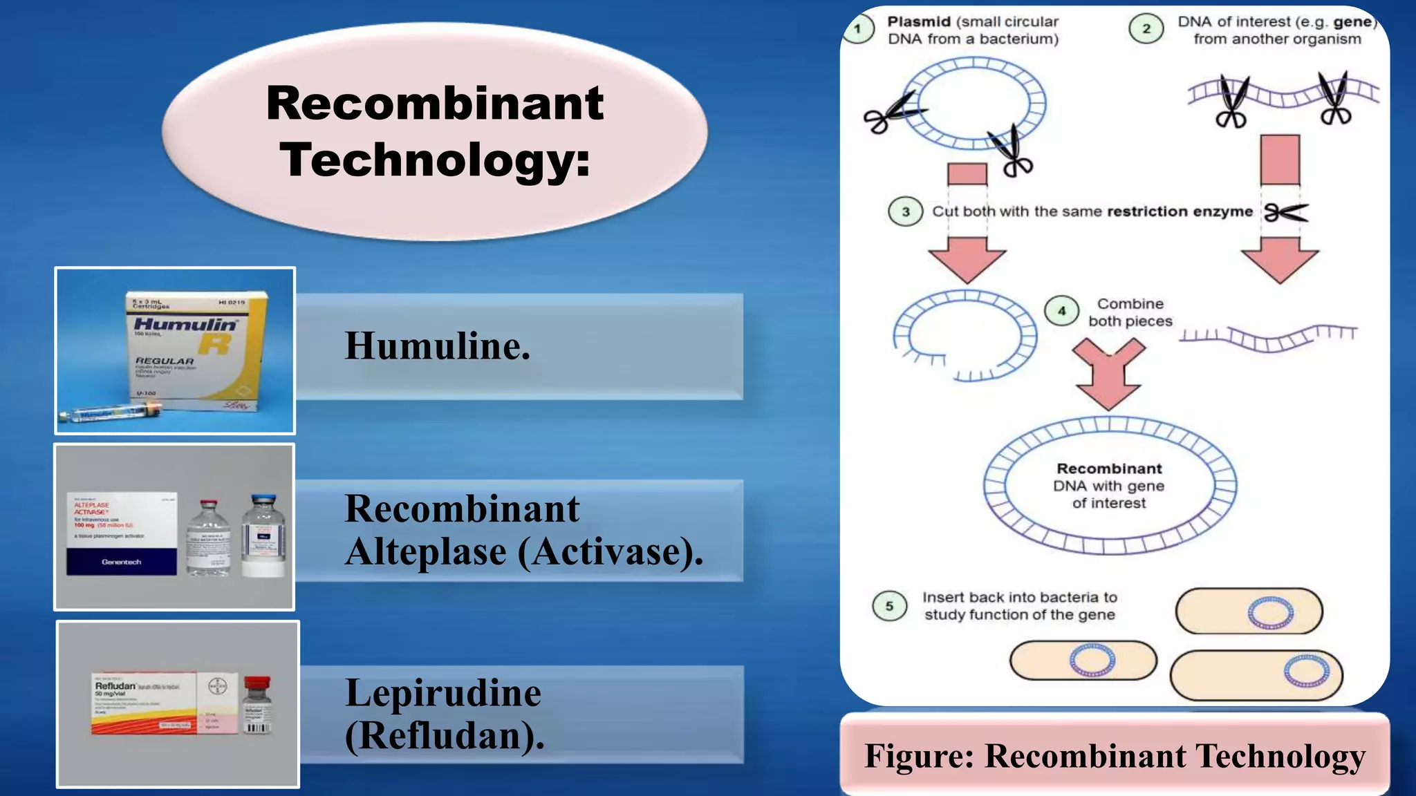 Designing of drug delivery system for biotechnology products considering stability aspects and ...