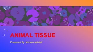 Animal Tissue | PPT