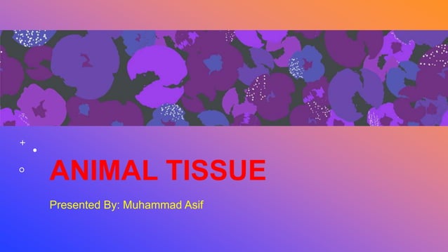 Animal Tissue | PPTX