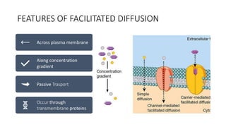 facilitated diffusion | PPTX