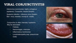 Presentation (8).pptx