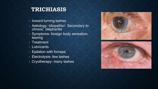 Presentation (8).pptx