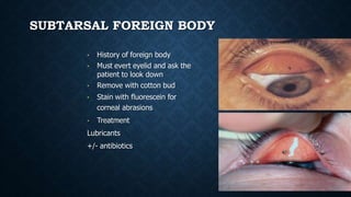 Presentation (8).pptx