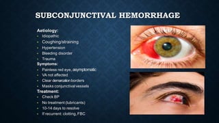 Presentation (8).pptx