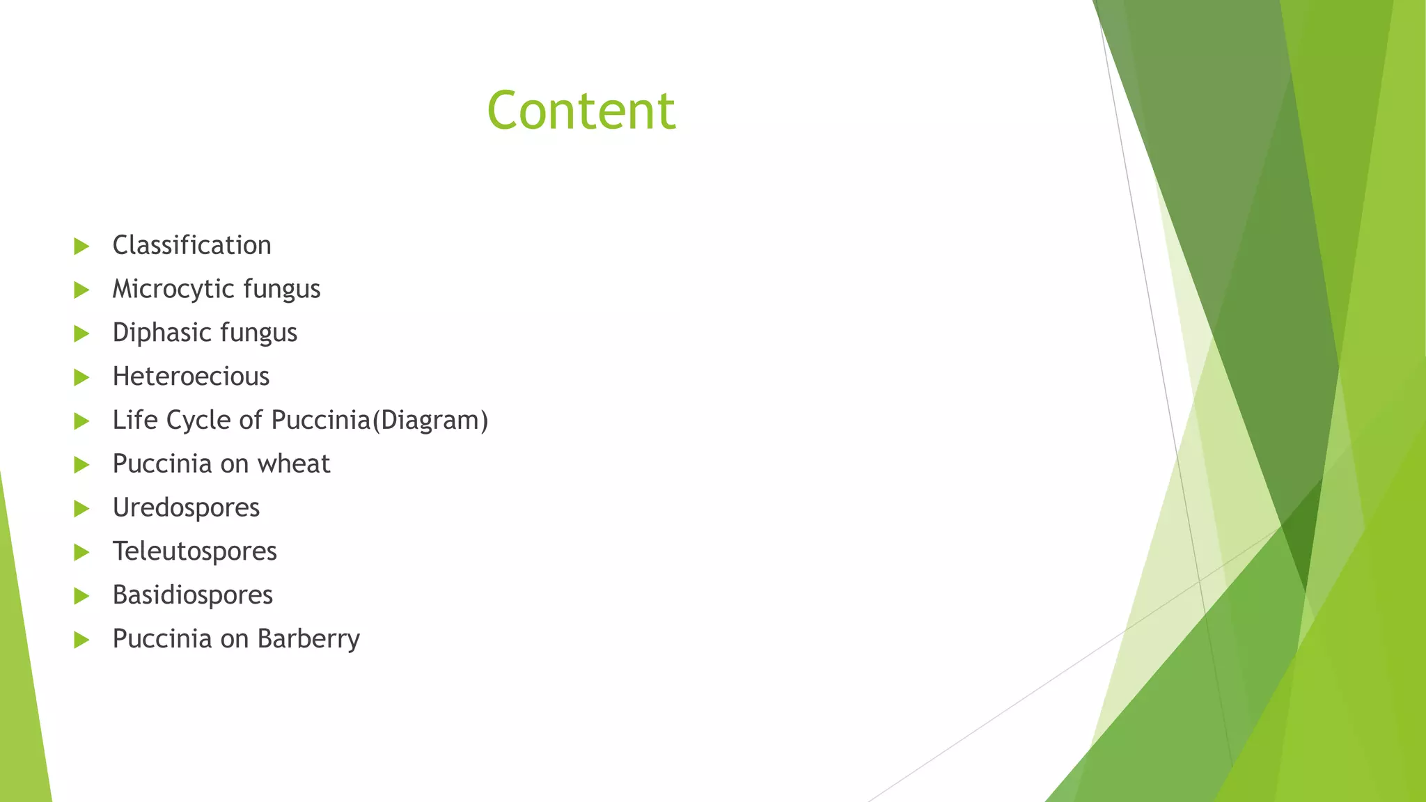 Life cycle of puccinia | PPTX
