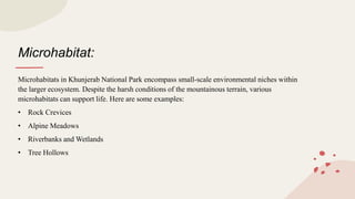 Khunjerab national park Pakistan bs zoology.ppt