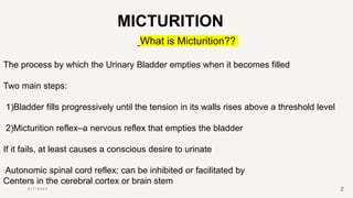 Micturition aaaaaaaaaaaaaaaaaaaaaaaaaaaaaaaaaaaaaaaaaa | PPTX