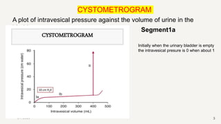 Micturition aaaaaaaaaaaaaaaaaaaaaaaaaaaaaaaaaaaaaaaaaa | PPT