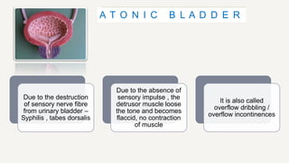 Micturition aaaaaaaaaaaaaaaaaaaaaaaaaaaaaaaaaaaaaaaaaa | PPT