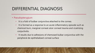 Presentation (8). Ppt on topic of ophthalmology | PPT