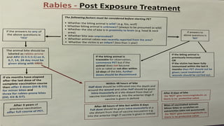 treatment of animal bite in emergency dept. | PPTX