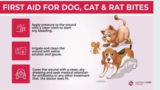 treatment of animal bite in emergency dept. | PPTX