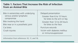 treatment of animal bite in emergency dept. | PPTX