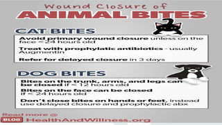 treatment of animal bite in emergency dept. | PPTX