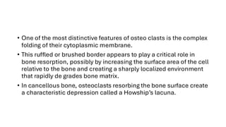 Presentation 8 bone structure in ortho.pdf