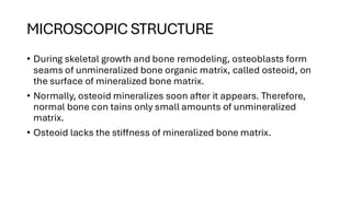 Presentation 8 bone structure in ortho.pdf