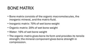 Presentation 8 bone structure in ortho.pdf