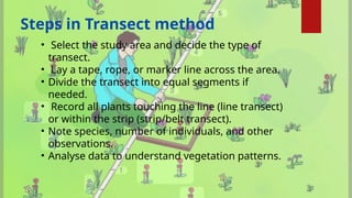 vegetation sampling ppt 98328124332.,3l4 | PPTX