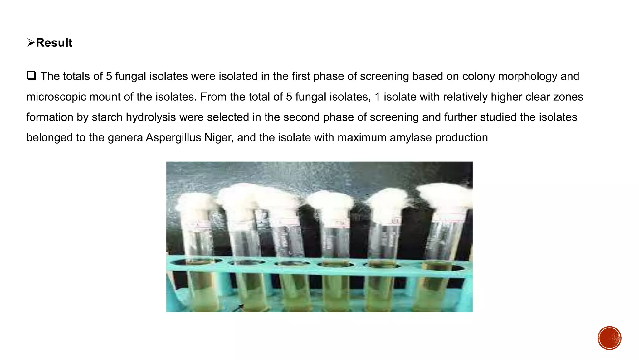 Isolation and Characterization of Amylase from Fungal Strain | PPTX