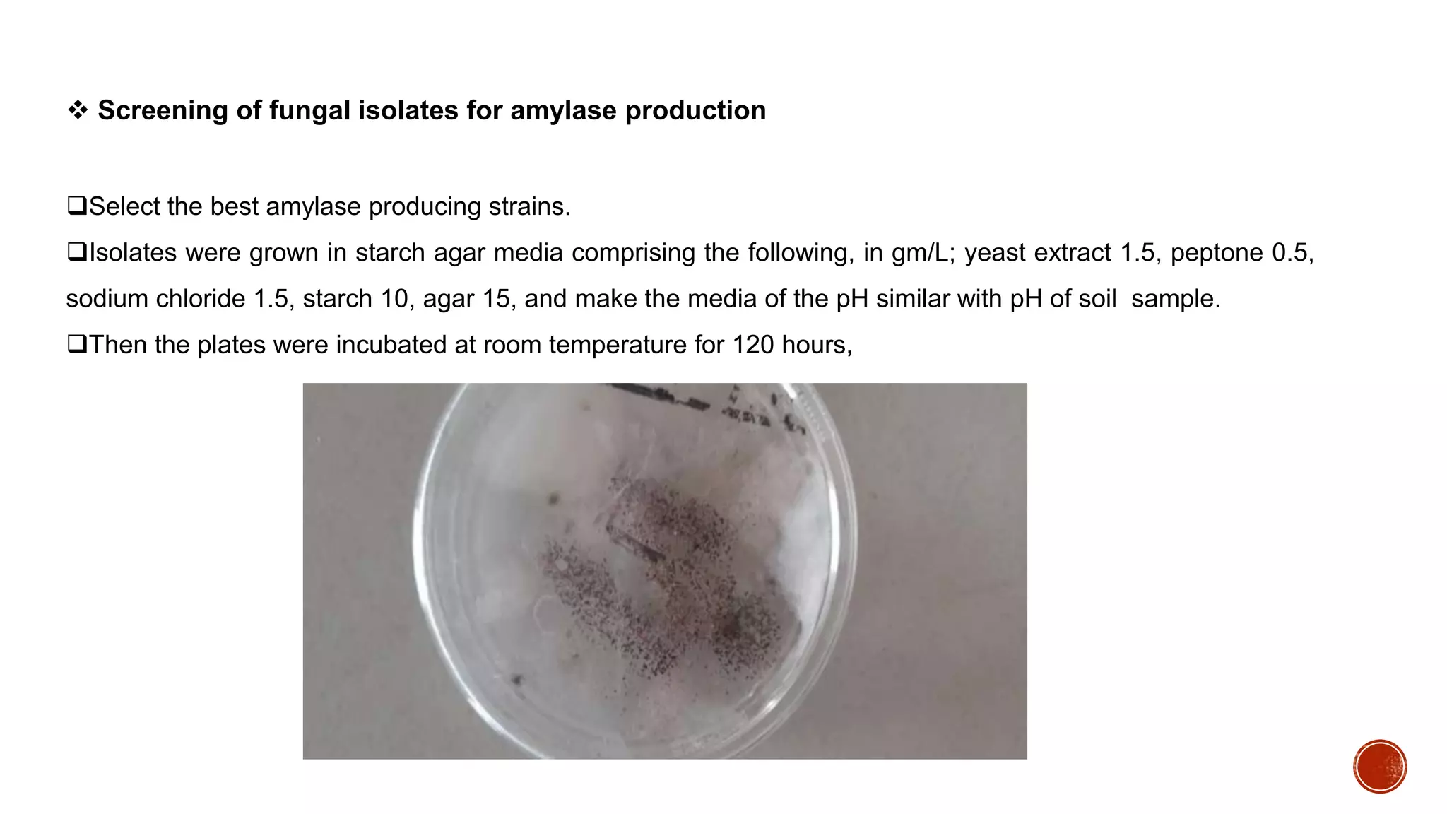Isolation and Characterization of Amylase from Fungal Strain | PPTX