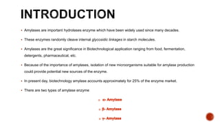 Isolation and Characterization of Amylase from Fungal Strain | PPTX