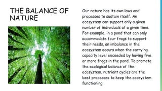 Understanding Ecosystem Carrying Capacity and Population Growth ...