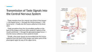 PRESENTATION ABOUT TASTE SENSITIVITY PPT | PPTX