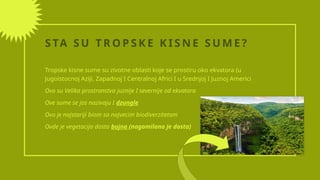 Tropske kisne sume (karakteristike,zivotinje,biljke,Amazonija) | PPTX