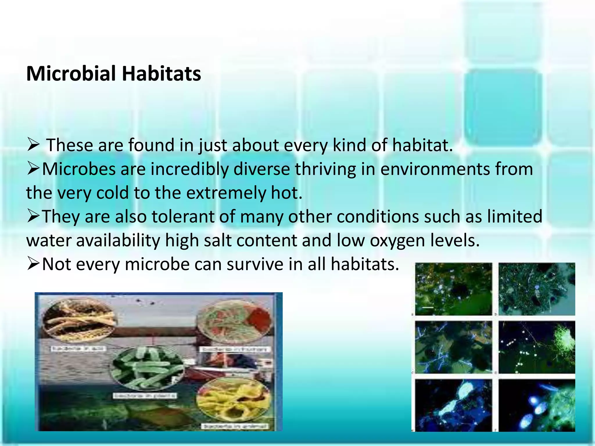 Environmental application of microbes.pptx