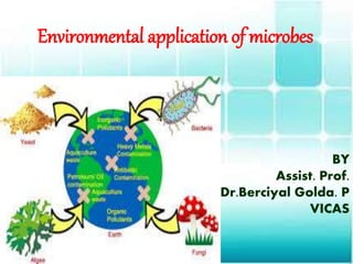 Environmental application of microbes.pptx