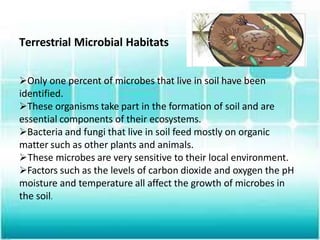 Environmental application of microbes.pptx
