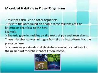 Environmental application of microbes.pptx