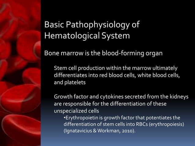 Blood Administration | PPTX