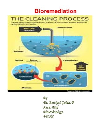 Bioremediation Diagram