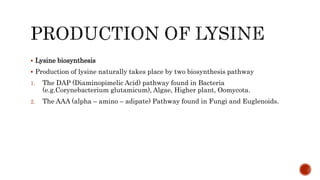 INDUSTRIAL PRODUCTION L-LYSIN | PPT