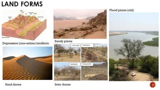 DESERT PLANNING | PDF | Gardening | Home & Garden