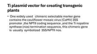 Plant Biotecnology ,Agrobacterium mediated transformation | PDF
