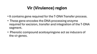 Plant Biotecnology ,Agrobacterium mediated transformation | PDF