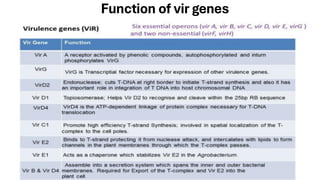 Plant Biotecnology ,Agrobacterium mediated transformation | PDF