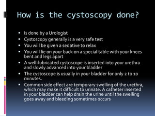 Presentation 9 anatomy and physiology of the urinary system ...