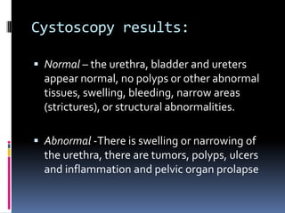 Presentation 9 anatomy and physiology of the urinary system ...