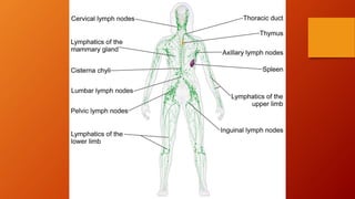lymphangitis carcinomatosis | PPTX