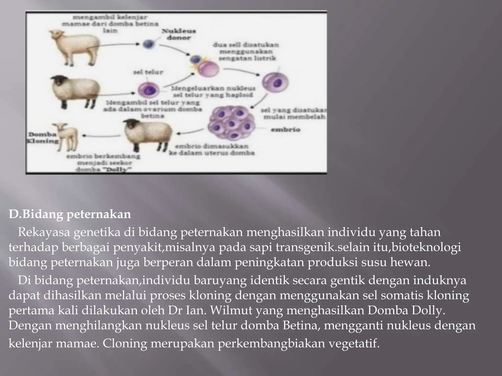 PRESENTATION materi bioteknologi modern.pptx
