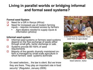 Formal and informal seed systems in Kenya - implications for biosafety ...